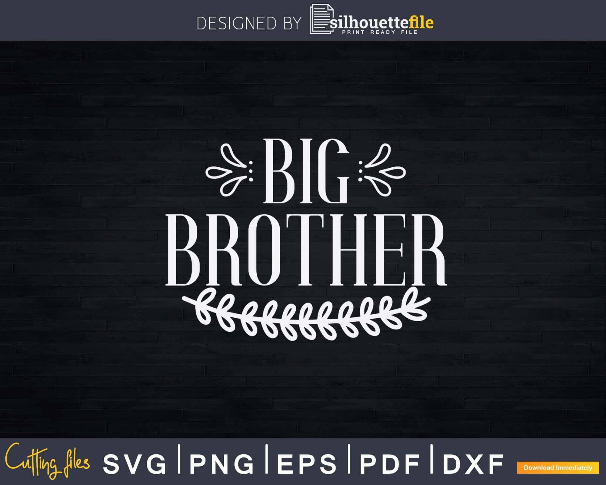 Big Brother Design Future Big Brother Svg Png Dxf Instant | SilhouetteFile