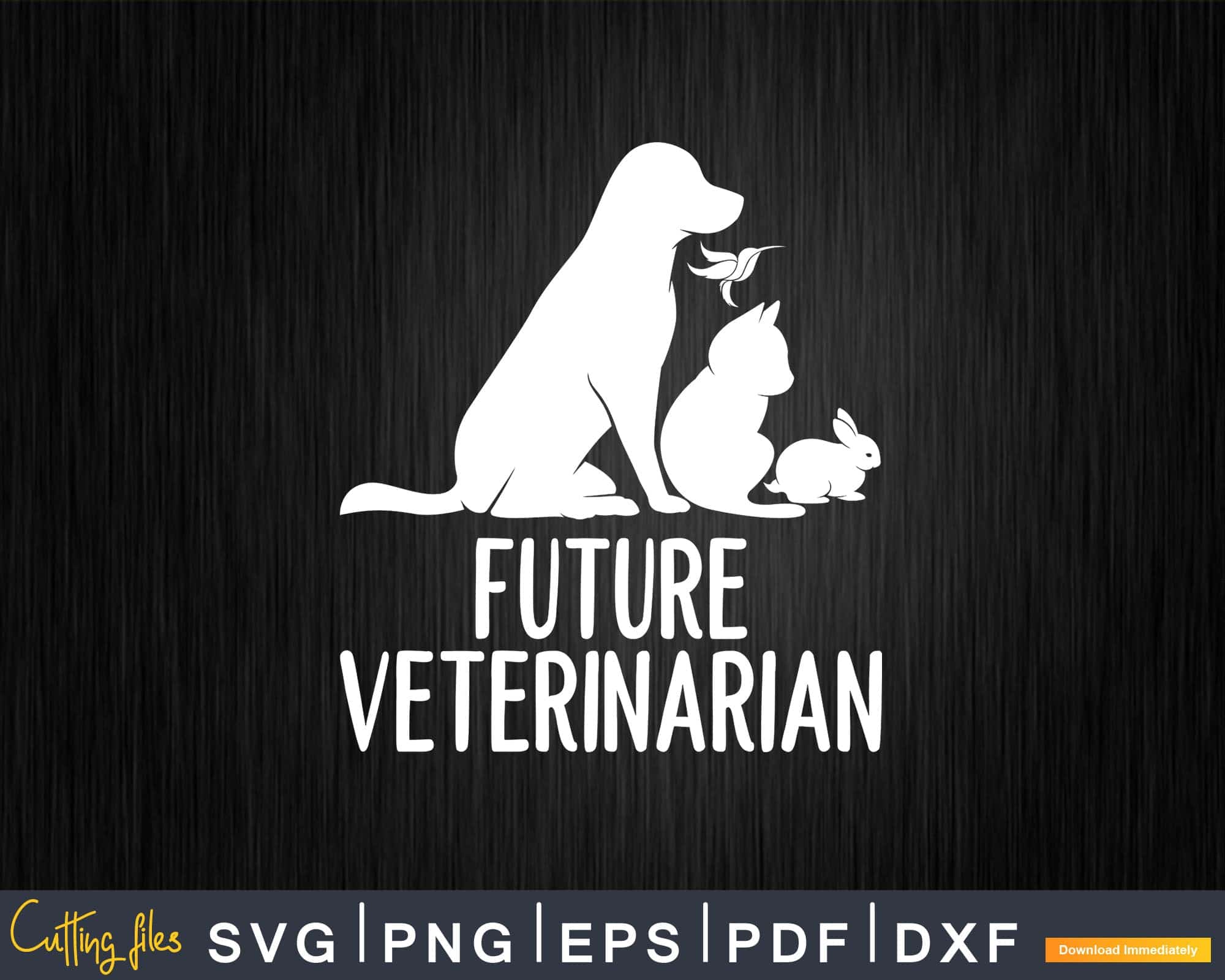 Future Veterinarian Veterinary Assistant Technician Svg Files ...