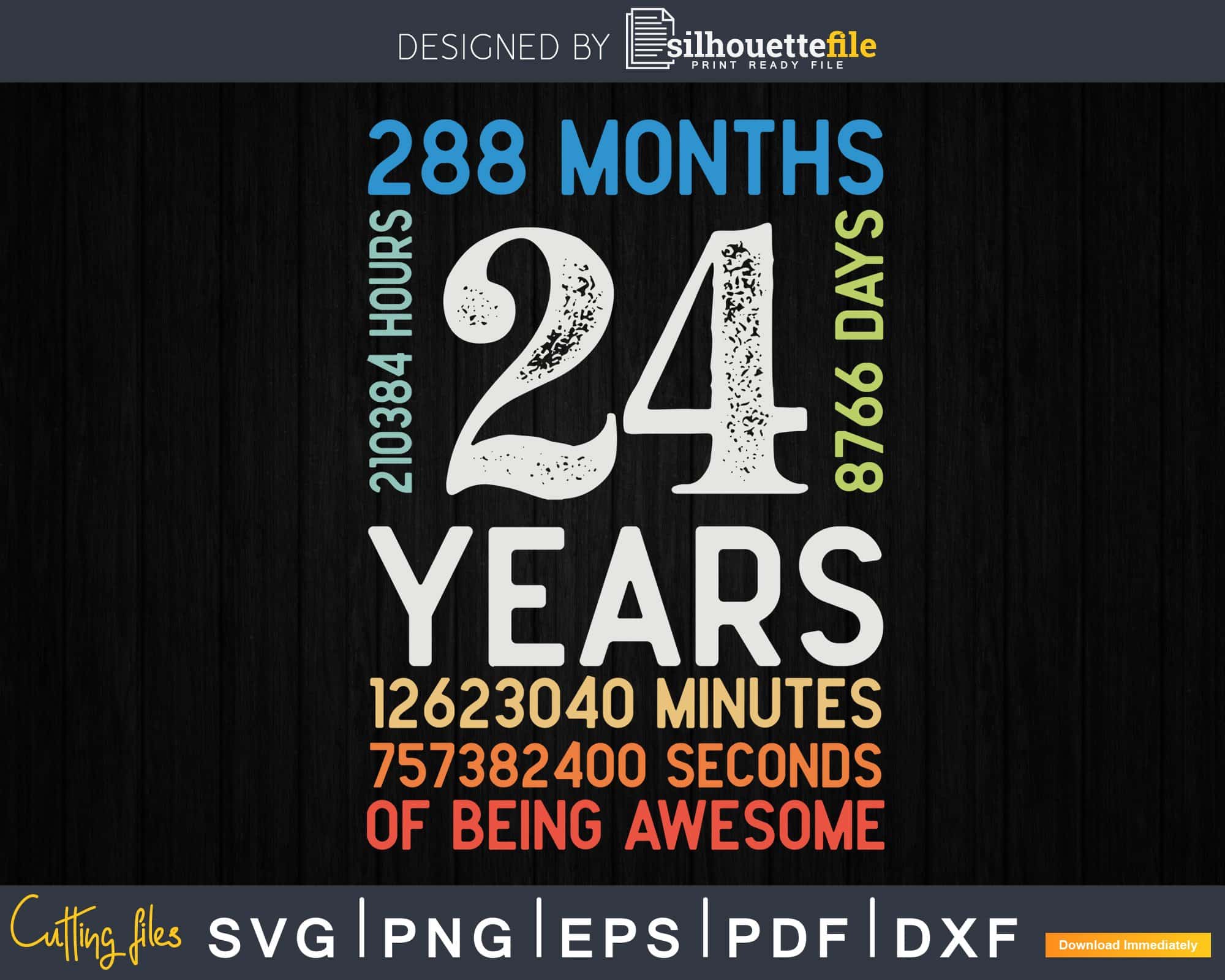 Retro Vintage 24 Years Old Classic 24th Birthday 288 Months ...