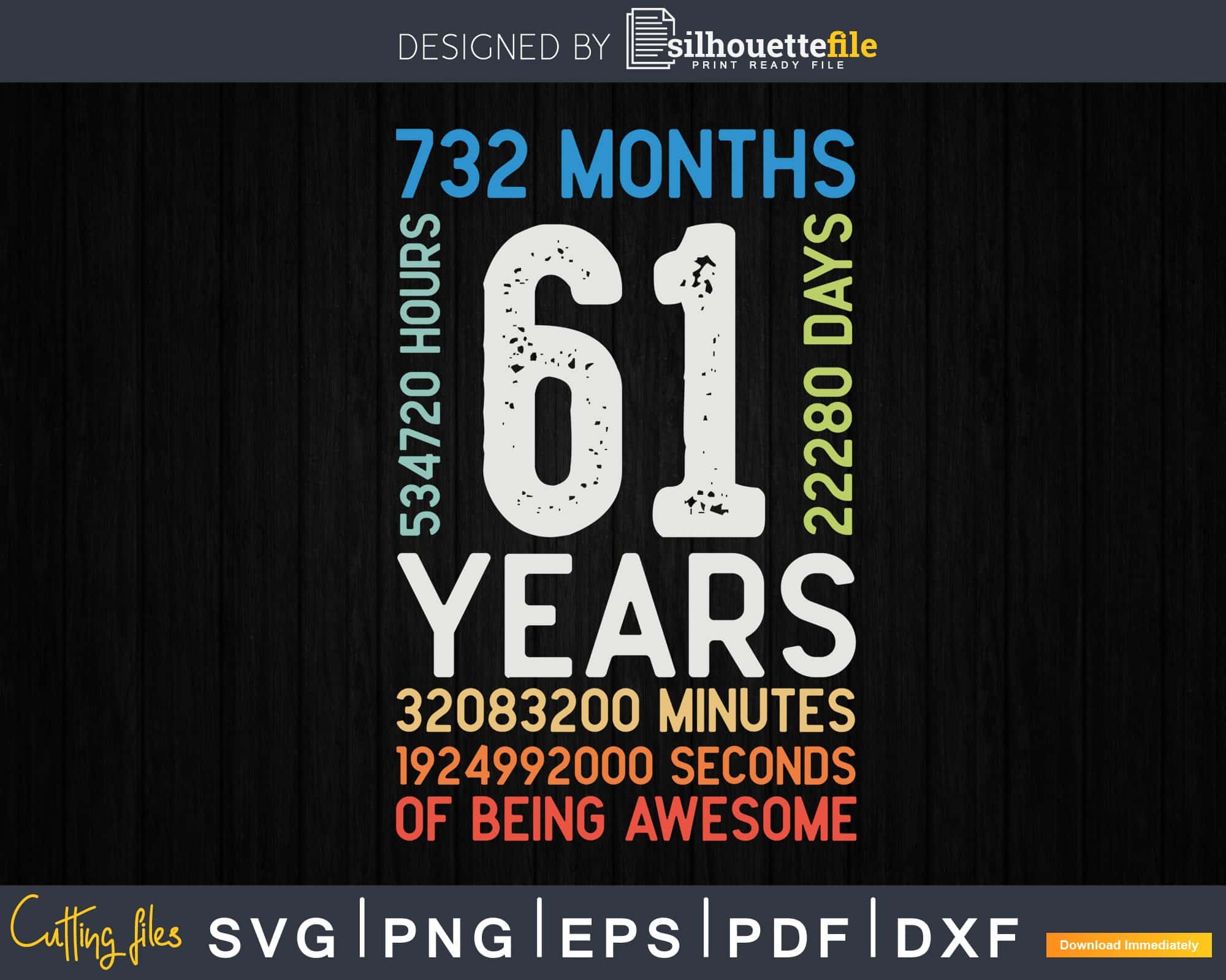 Retro Vintage 61 Years Old Classic 61st Birthday 732 Months ...