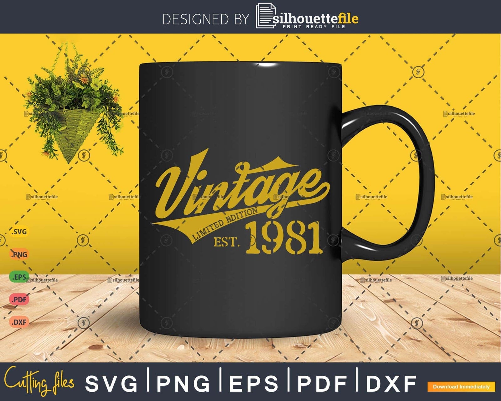 Vintage Est 1981 Aged 42 yrs old Bday 42nd Birthday Svg | Silhouettefile